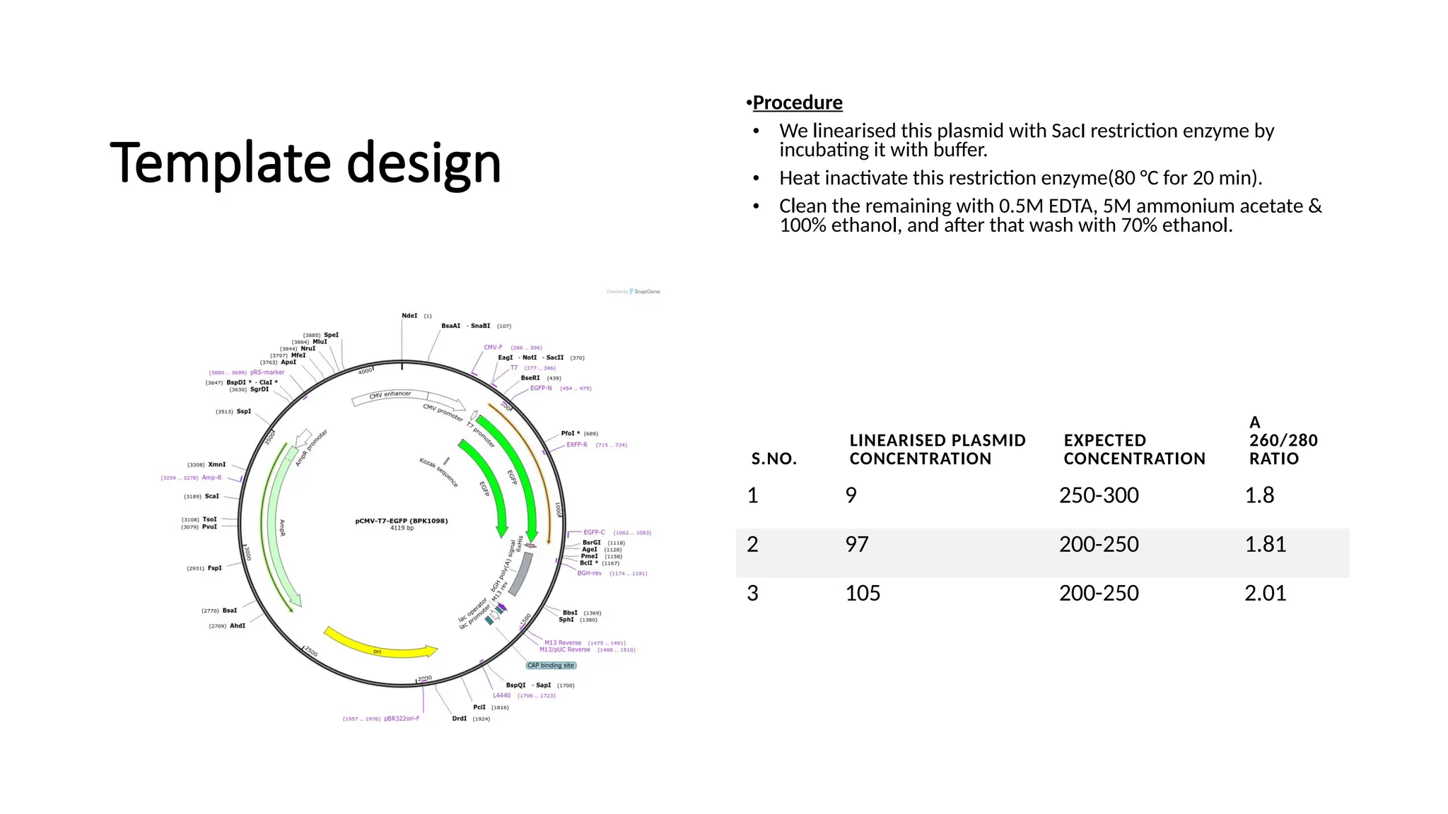 Template design for mRNA synthesis via IVT | PPTX