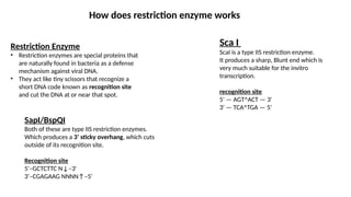 Template design for mRNA synthesis via IVT | PPTX