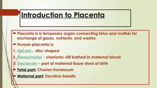 Presentation of placenta of human in embryology | PPTX