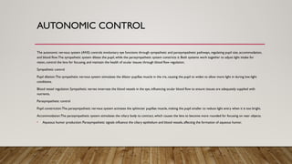 Presentation (3)optic system of eye .pptx