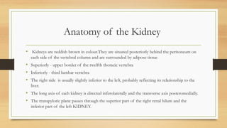 Presentation (3).pptx renal psychological wa | PPTX