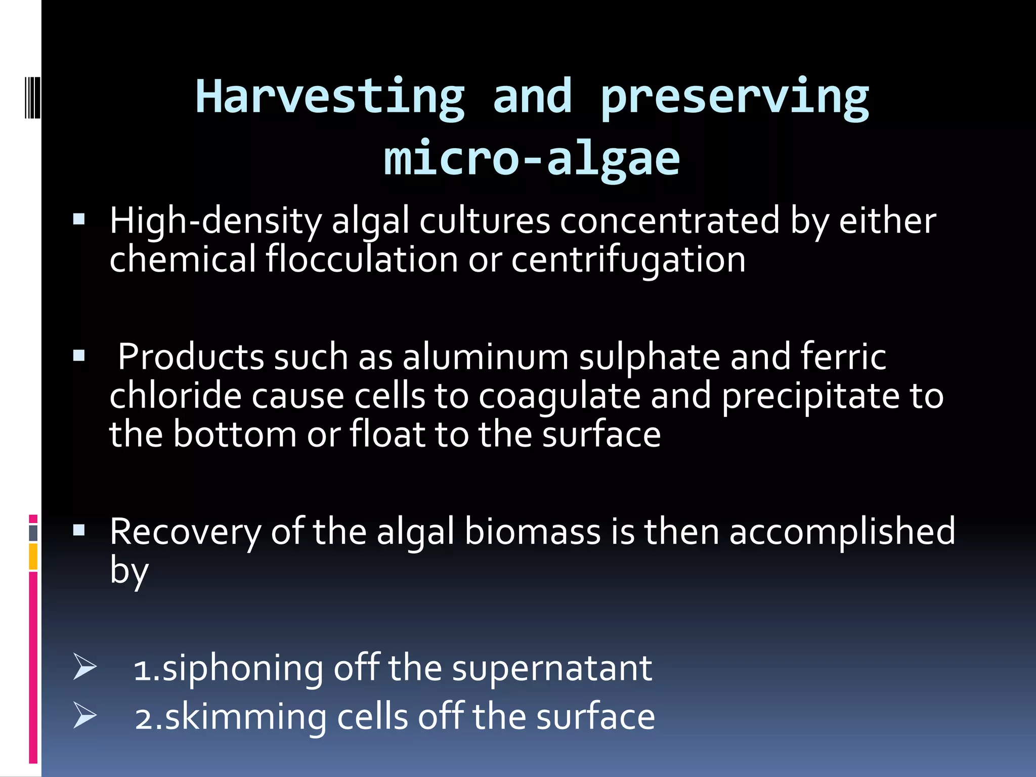 Microalgae | PPTX