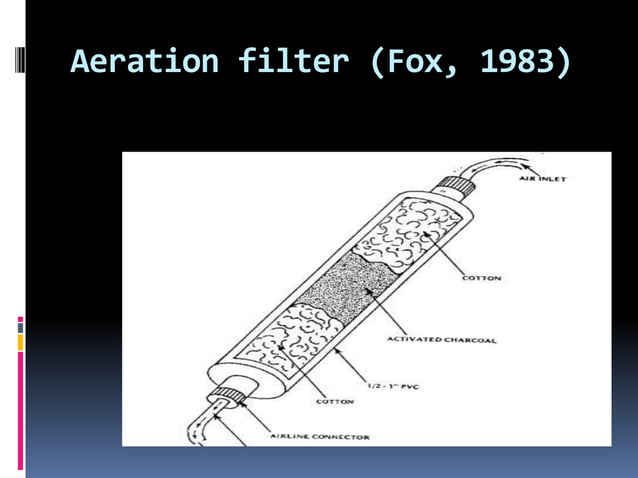 Microalgae | PPTX | Biological Sciences | Science