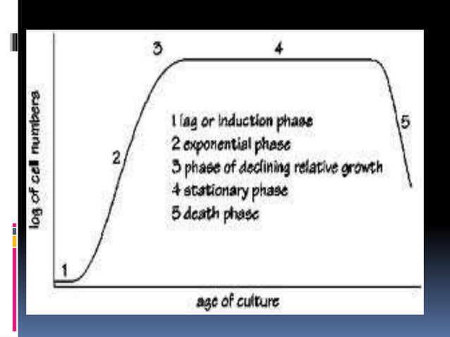 Microalgae | PPTX | Biological Sciences | Science