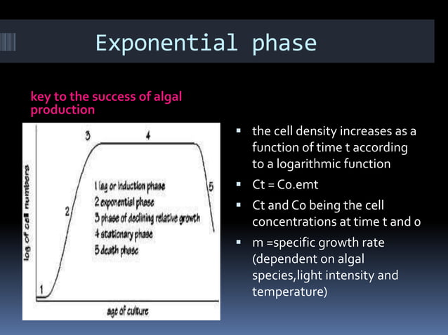 Microalgae | PPTX | Biological Sciences | Science