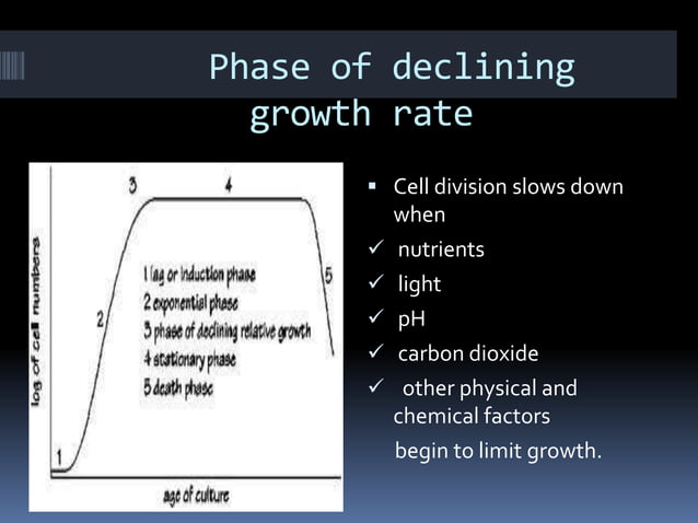 Microalgae | PPTX | Biological Sciences | Science