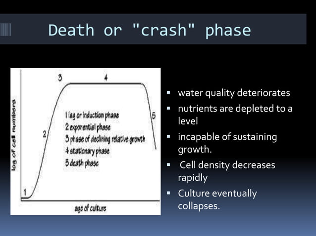 Microalgae | PPTX | Biological Sciences | Science
