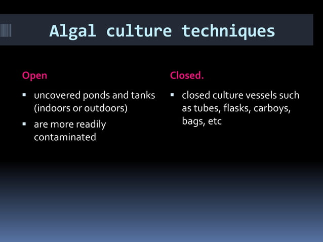 Microalgae | PPTX | Biological Sciences | Science