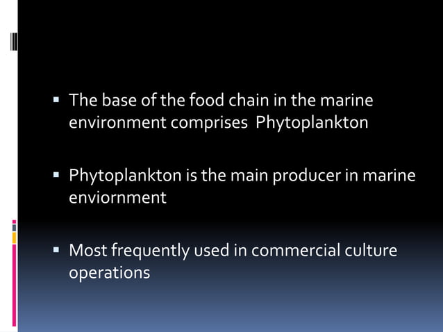 Microalgae | PPTX | Biological Sciences | Science