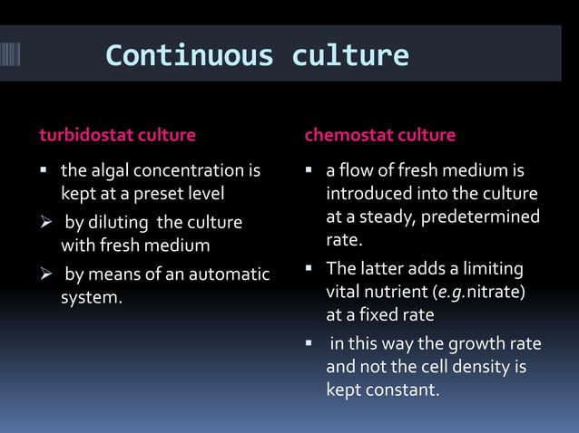 Microalgae | PPTX | Biological Sciences | Science