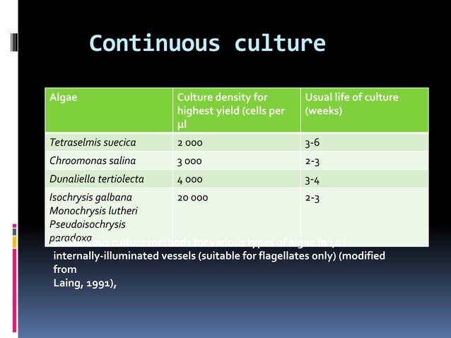Microalgae | PPTX | Biological Sciences | Science