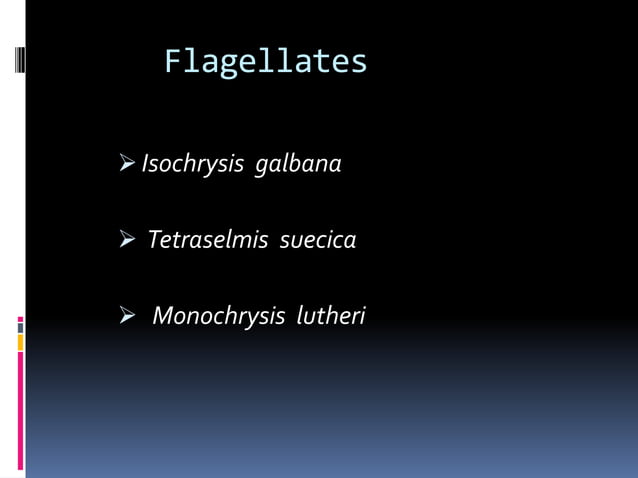 Microalgae | PPTX | Biological Sciences | Science
