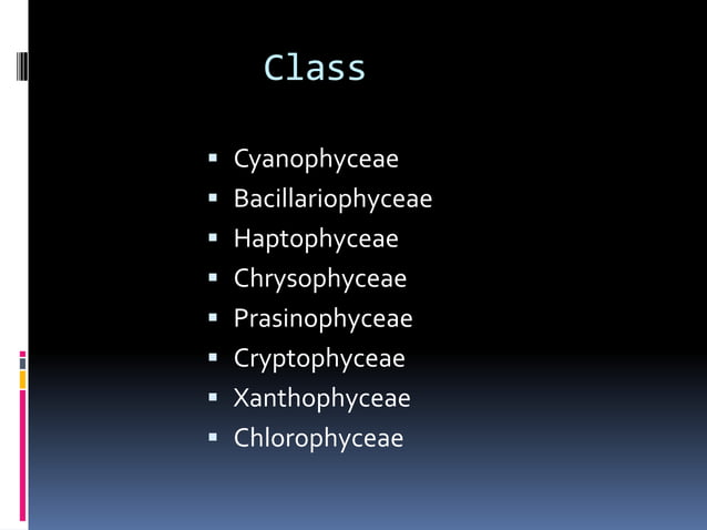 Microalgae | PPTX | Biological Sciences | Science