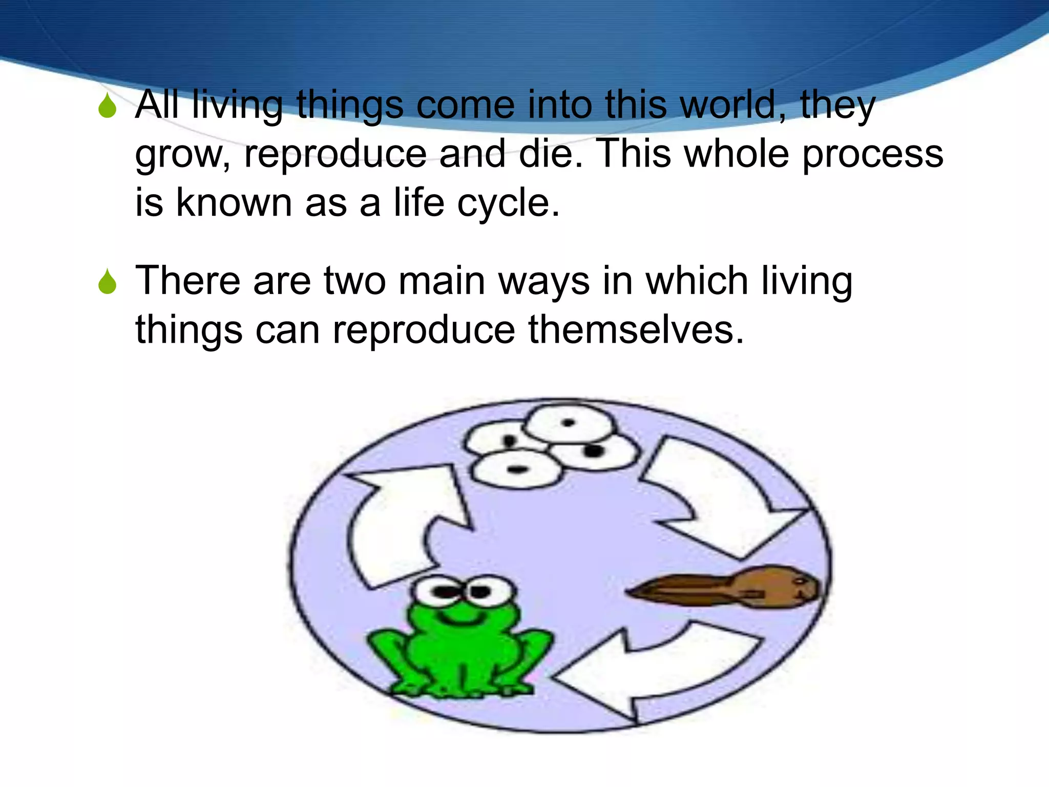 Life cycle of animals | PPTX