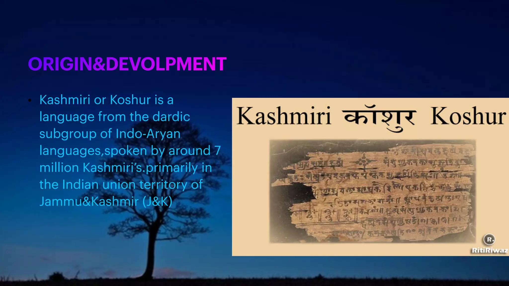 Presentation on Kashmiri language | PDF