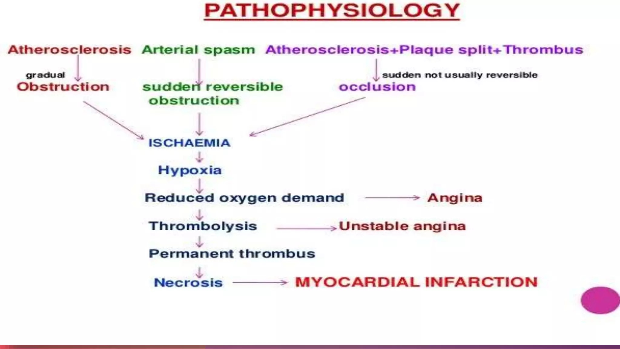 pathophysiology of myocardial infarction | PPTX