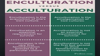 Acculturation and Enculturation ppt presentation | PPTX