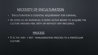 Acculturation and Enculturation ppt presentation | PPTX