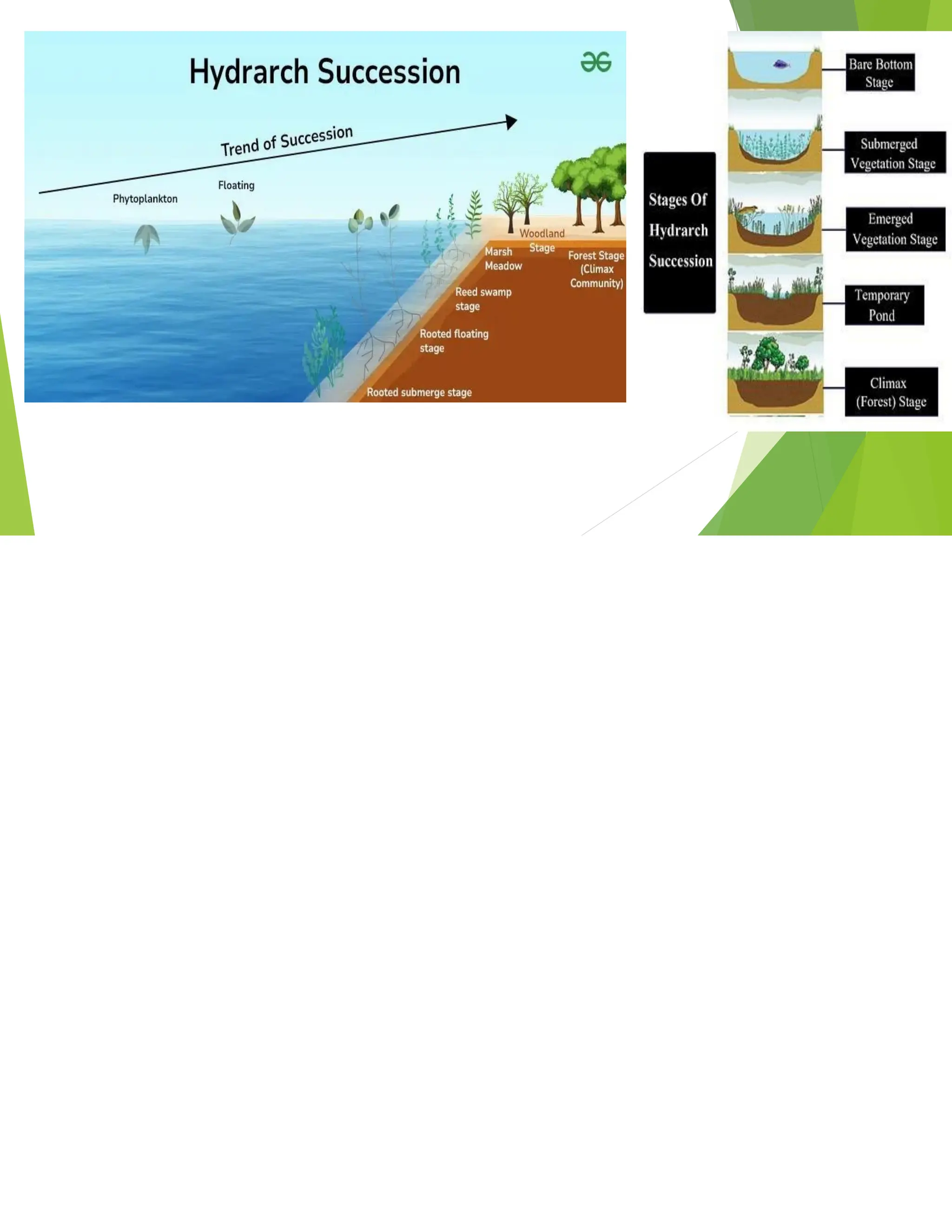 Ecological succession,types , mechanism,example | PDF