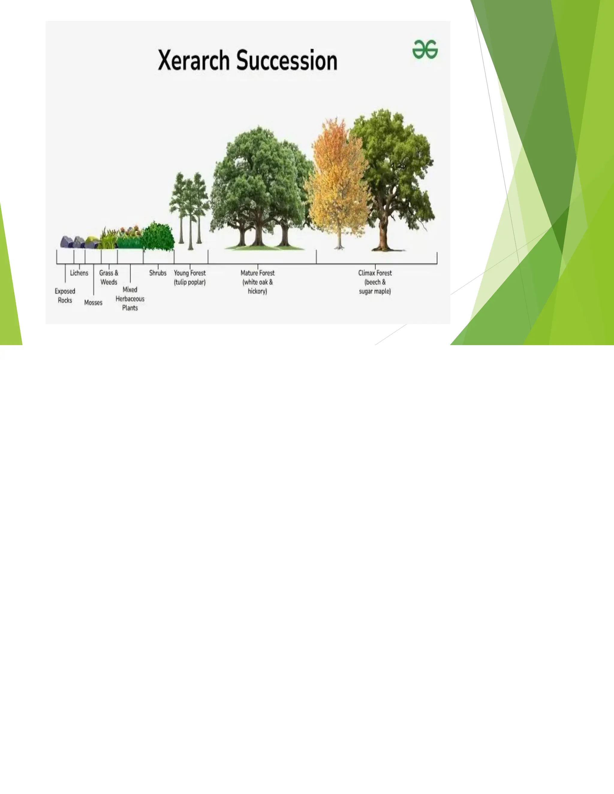 Ecological succession,types , mechanism,example | PDF