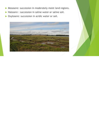 Ecological succession,types , mechanism,example | PDF