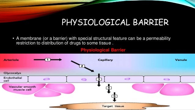 "Physiological Barriers" by Debanjan Chatterjee & Abhishek Roy