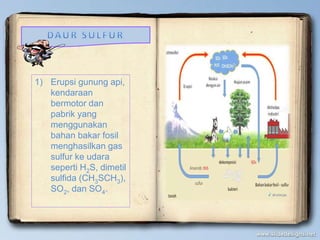Daur Sulfur | PPT