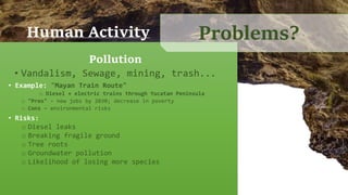 Caves/Cave System of Mexico | PPT