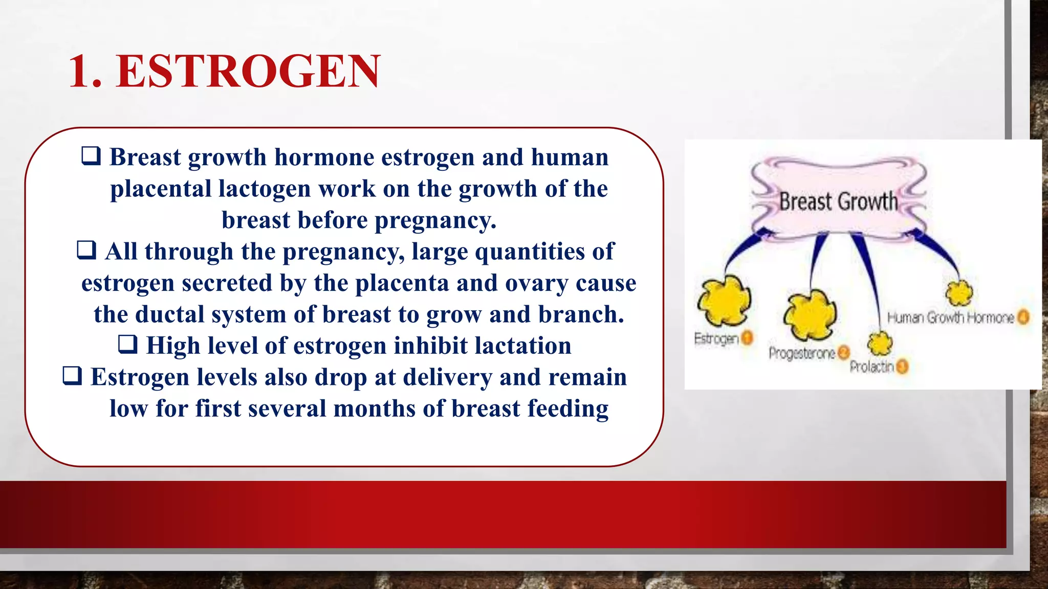 Role of hormones in lactation | PPTX | Pregnancy | Reproductive Health