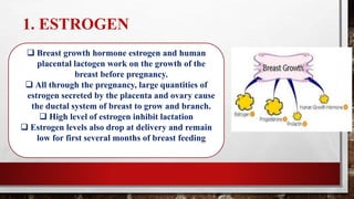 Role of hormones in lactation | PPTX