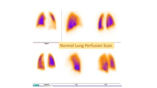 Presentation334545.pptx