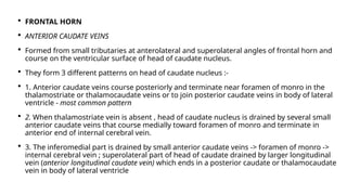 Presentation on anatomy of deep venous system | PPTX