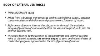 Presentation on anatomy of deep venous system | PPTX