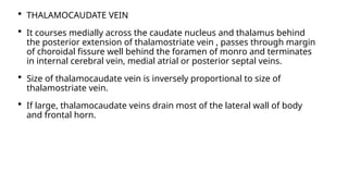 Presentation on anatomy of deep venous system | PPTX