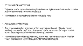 Presentation on anatomy of deep venous system | PPTX