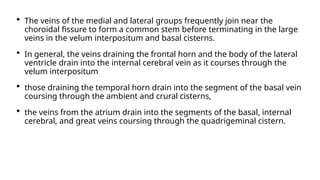 Presentation on anatomy of deep venous system | PPTX
