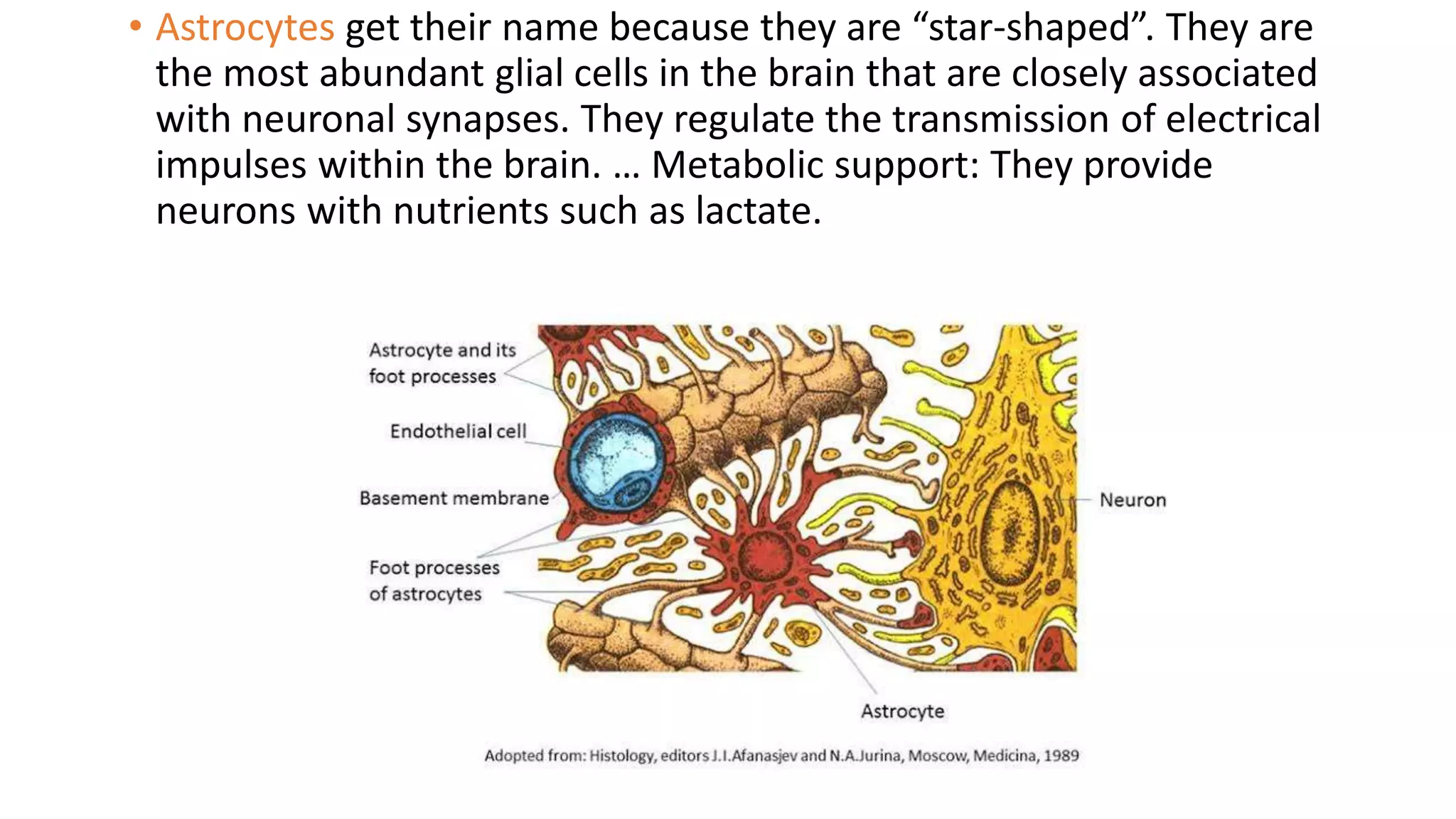 Nervous System,Neuron, Glial cells | PPTX