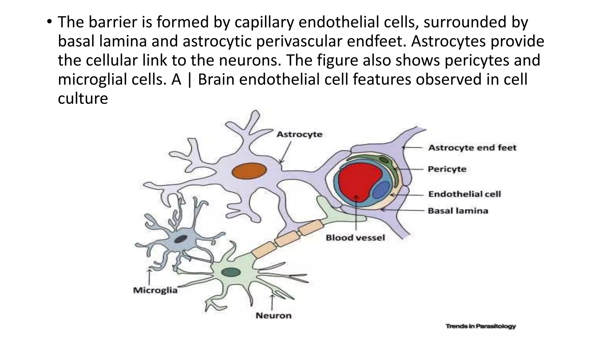 Nervous System,Neuron, Glial cells | PPTX