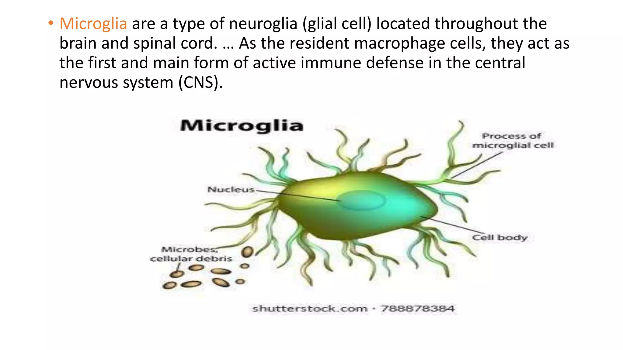 Nervous System,Neuron, Glial cells | PPTX