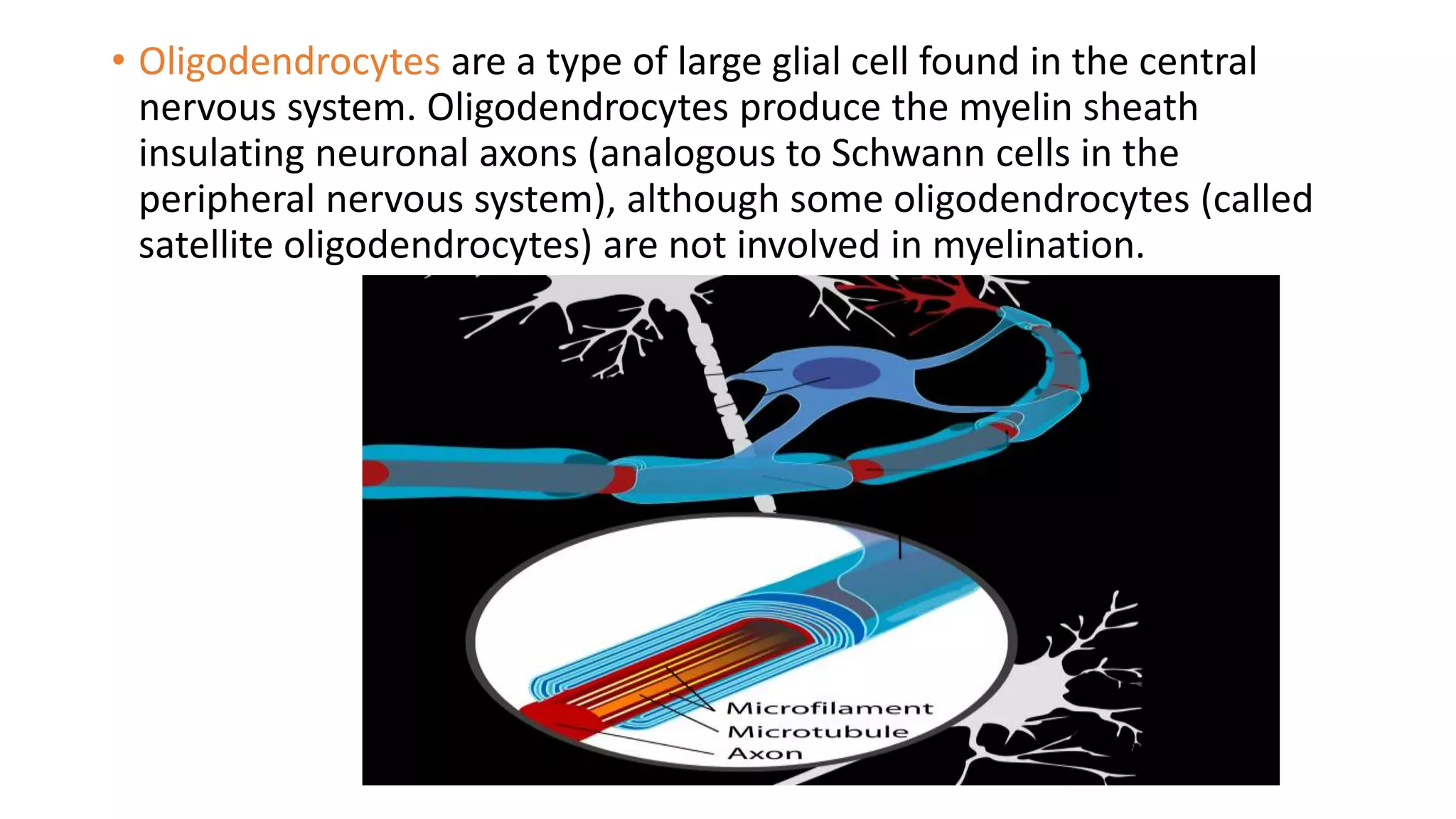 Nervous System,Neuron, Glial cells | PPTX