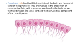 Nervous System,Neuron, Glial cells | PPTX