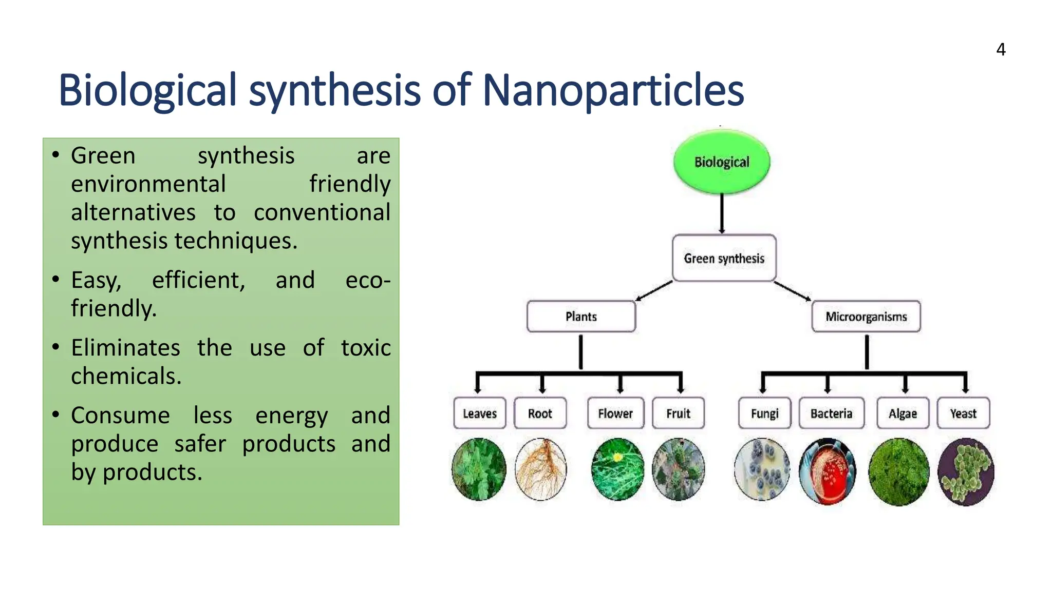 green synthesis of nanoparticles from plants.pptx