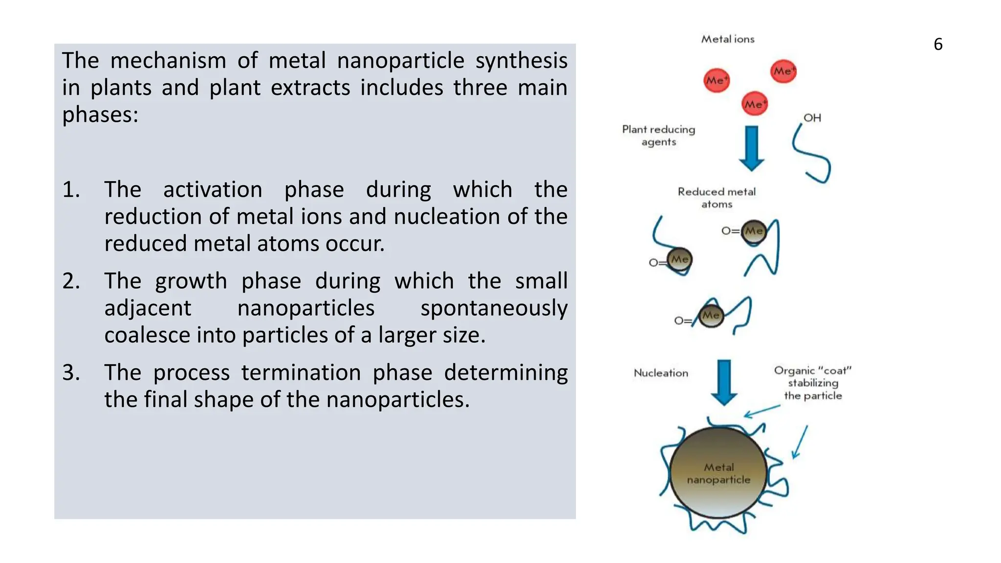 green synthesis of nanoparticles from plants.pptx