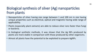 green synthesis of nanoparticles from plants.pptx