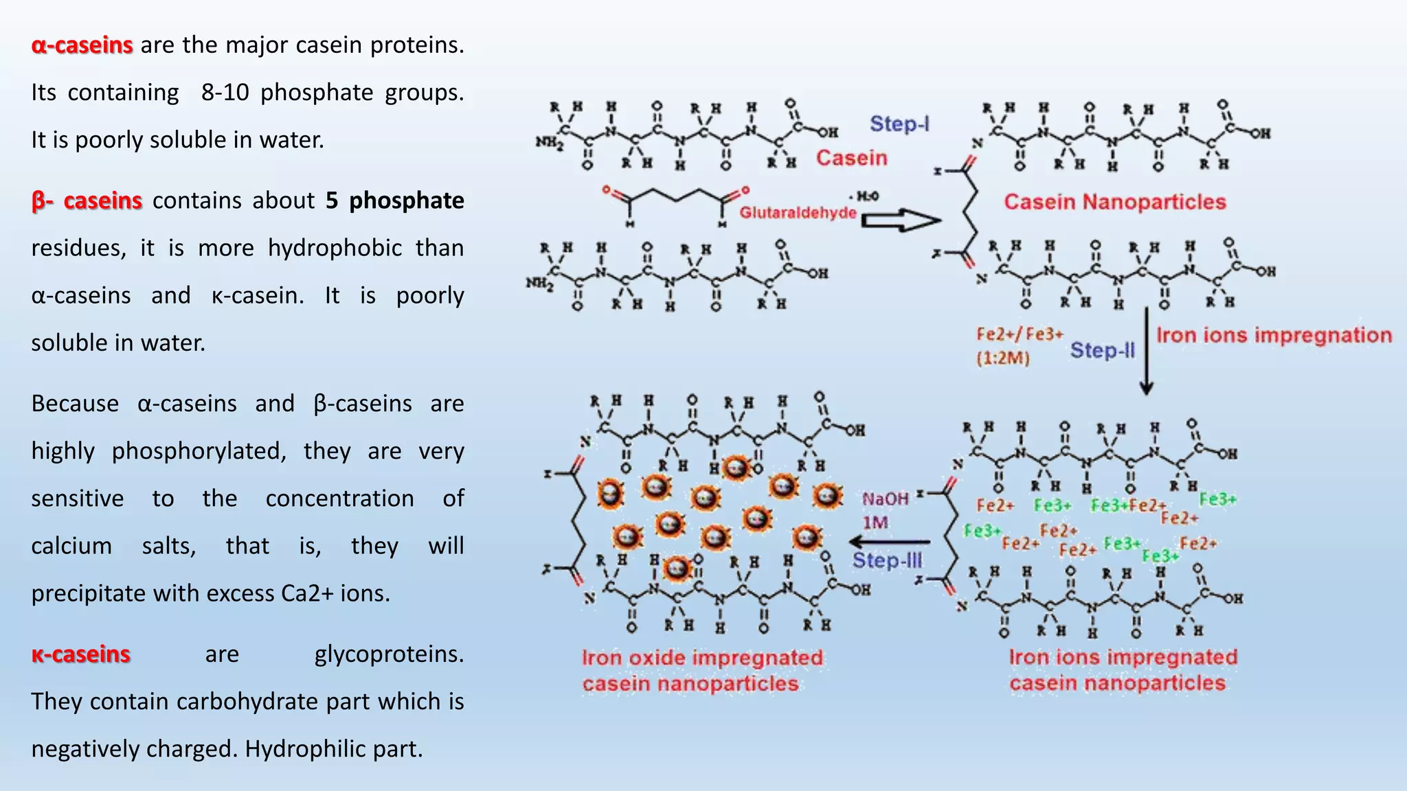 MILK PROTEINS / SYNTHESIS CASEIN | PPTX