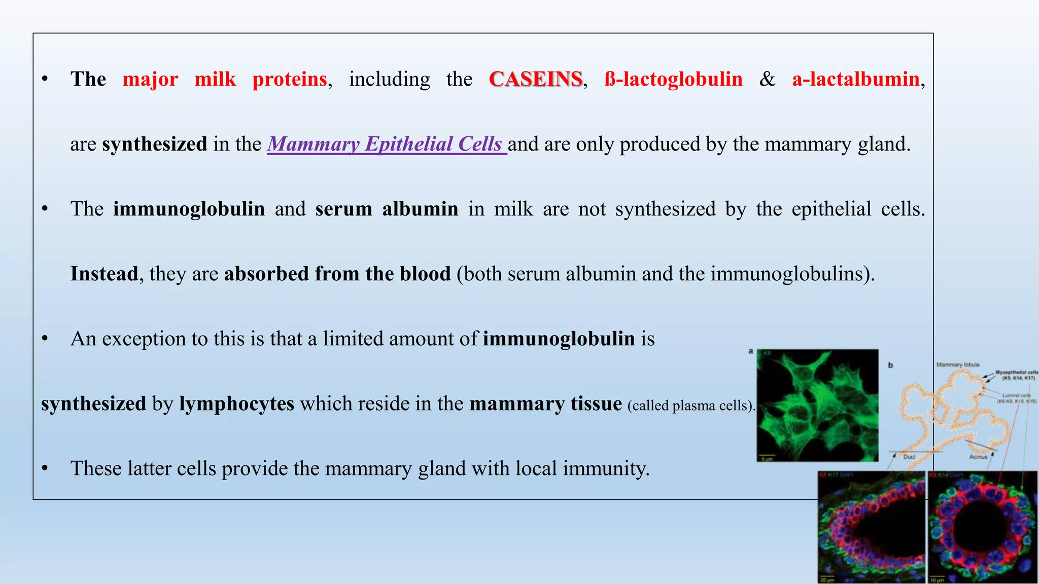 MILK PROTEINS / SYNTHESIS CASEIN | PPTX