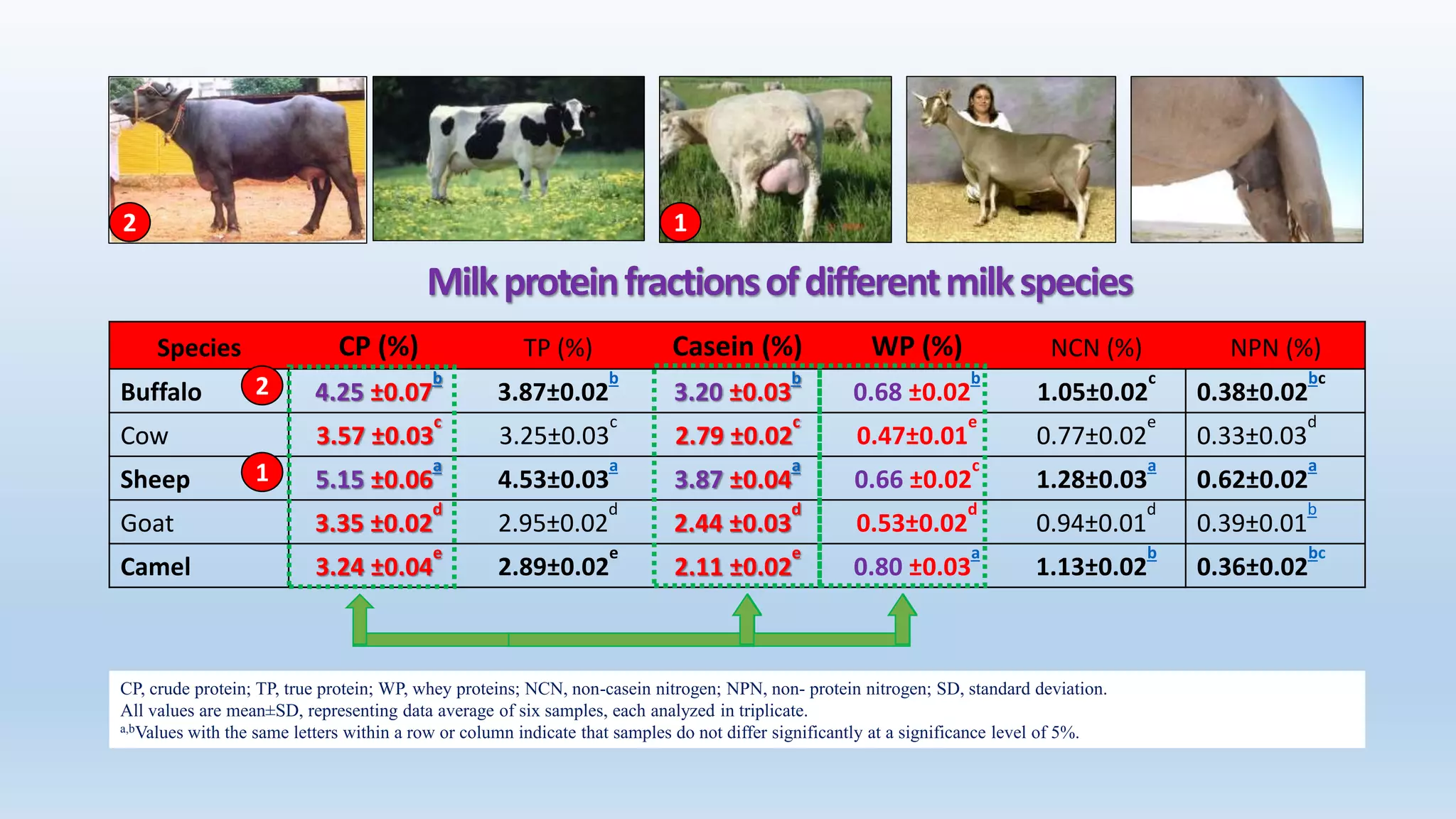 MILK PROTEINS / SYNTHESIS CASEIN | PPTX