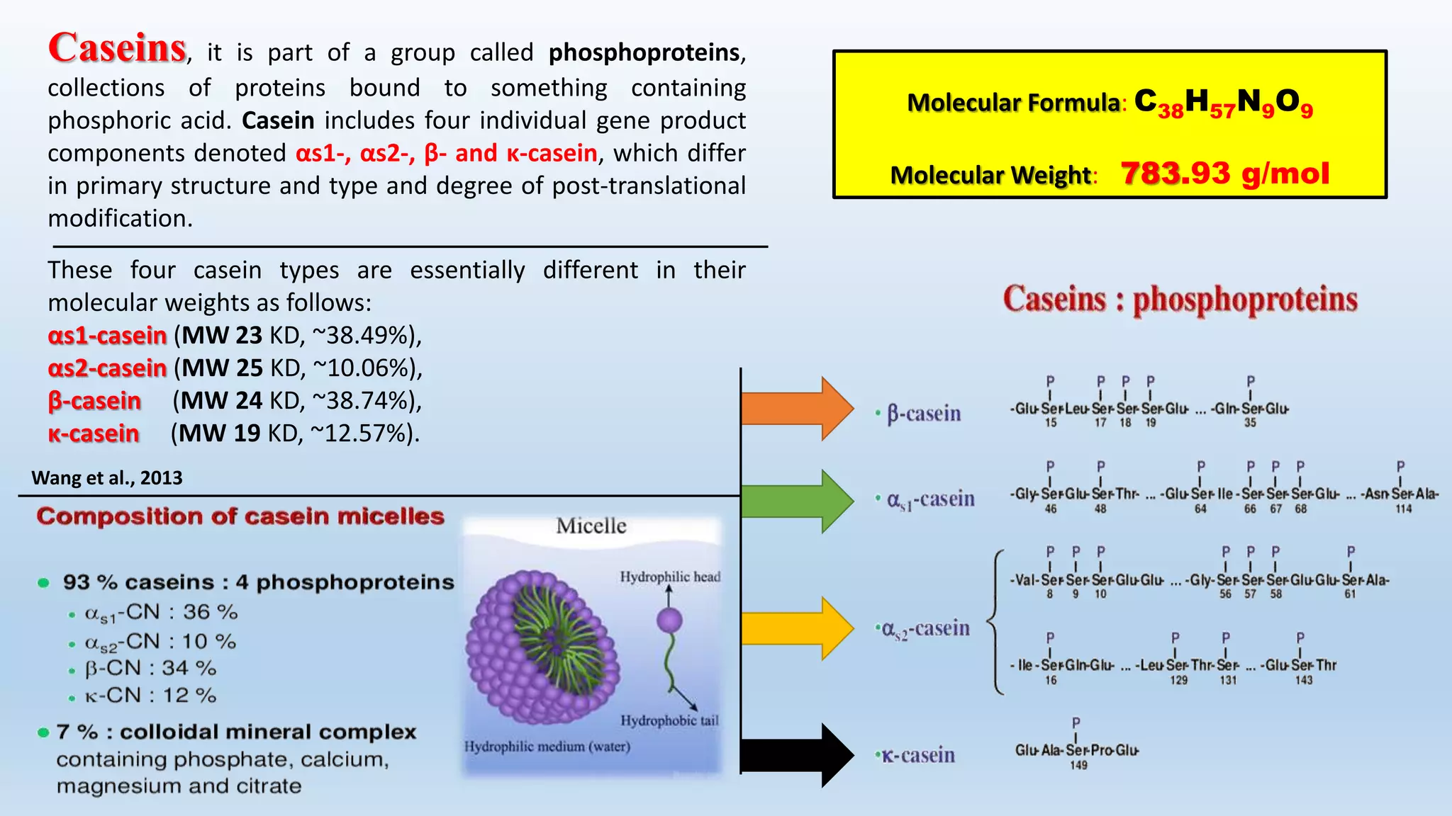 MILK PROTEINS / SYNTHESIS CASEIN | PPTX