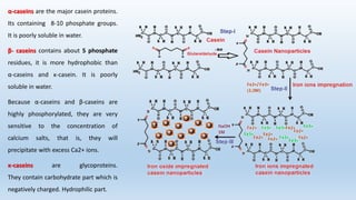 MILK PROTEINS / SYNTHESIS CASEIN | PPTX