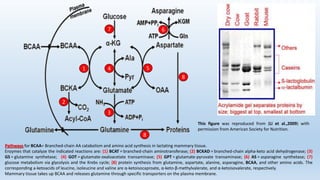 MILK PROTEINS / SYNTHESIS CASEIN | PPTX